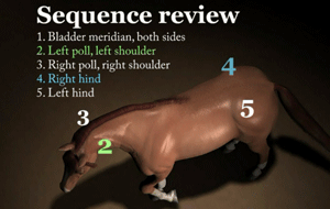 Where to Start: Symmetry and Asymmetry in the Horse - Masterson Method