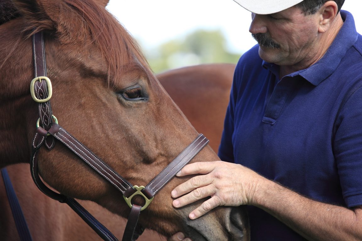 Free Educational Videos - Masterson Method