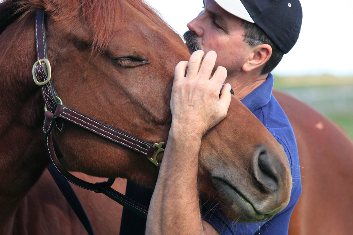 Free Educational Videos - Masterson Method