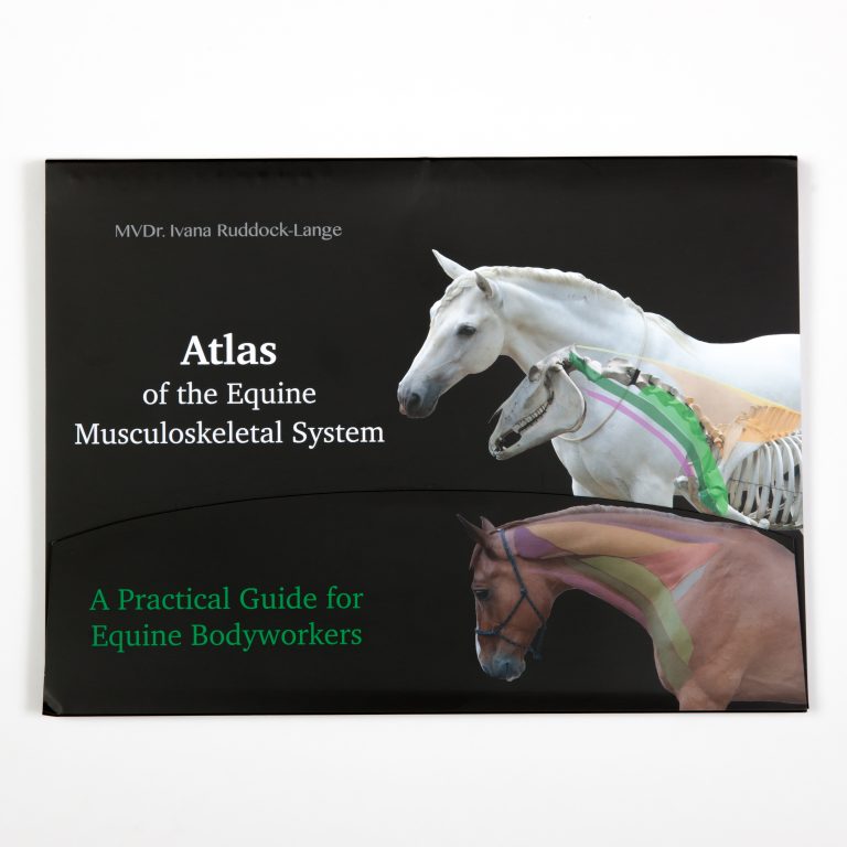 Atlas of the Equine Musculoskeletal System - Masterson Method