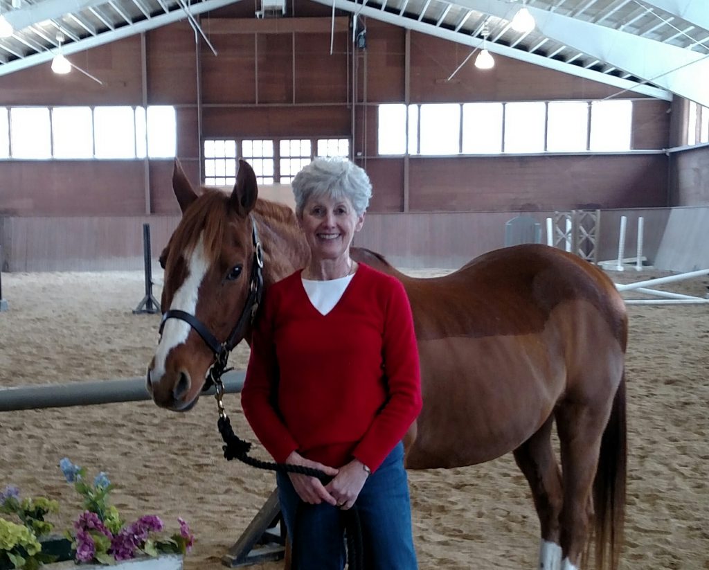 Sara Hein, MMCP, Coach, Mentor | Certified Equine Practitioner ...
