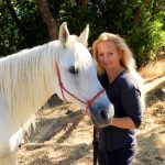 Certified Practitioner - Masterson Method