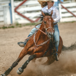 Certified Practitioner - Masterson Method