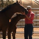 Certified Practitioner - Masterson Method