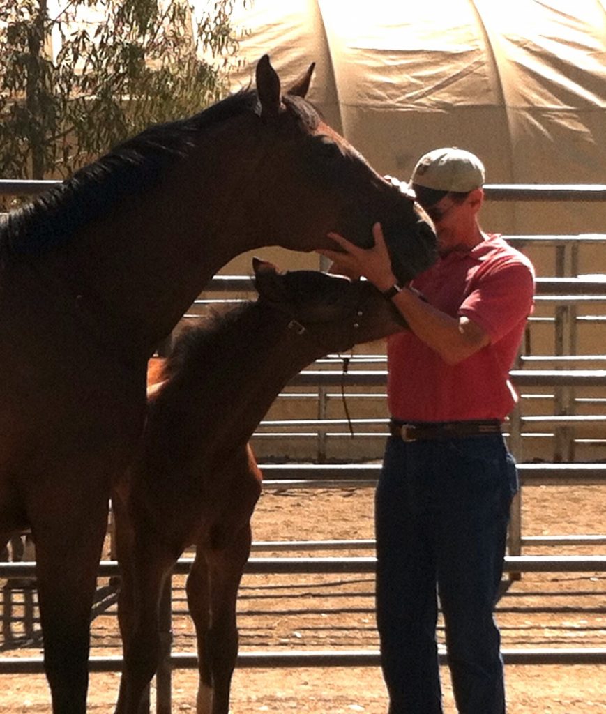 Jim Rushing, MMCP, Coach | Certified Equine Practitioner | Masterson Method