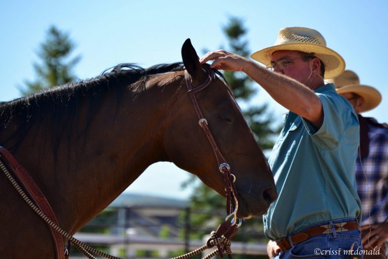 Masterson Method Expos & Demos | The Masterson Method