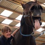 Certified Practitioner - Masterson Method