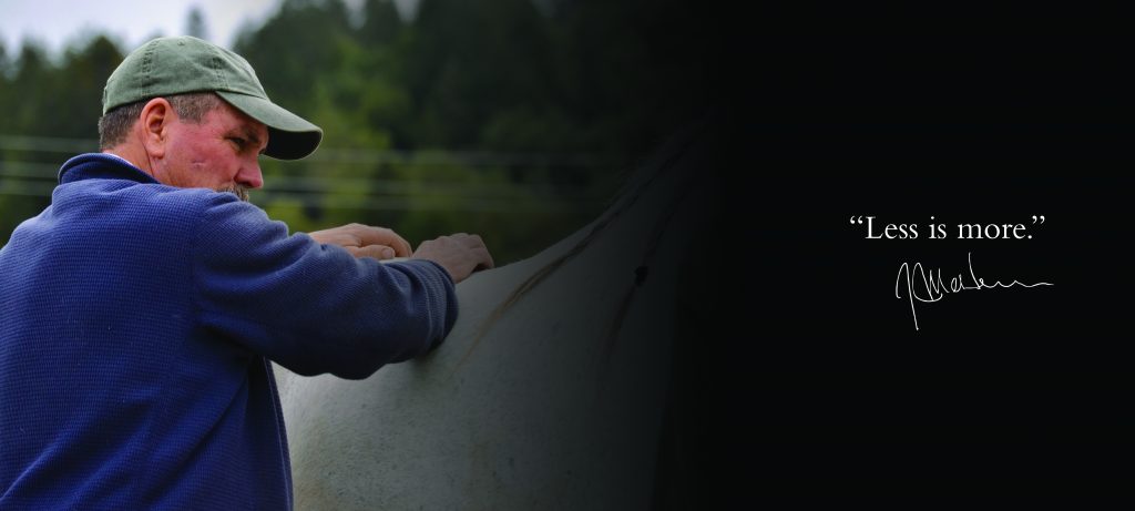 Equine Massage and Bodywork | The Masterson Method