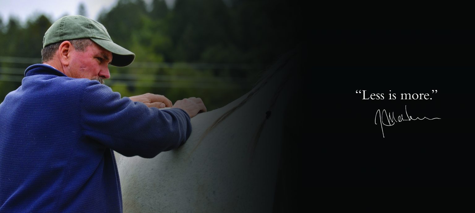 Equine Massage and Bodywork | The Masterson Method