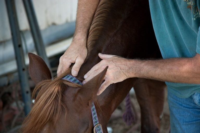 Free Masterson Method Resources - Masterson Method