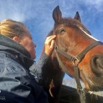 Certified Practitioner - Masterson Method