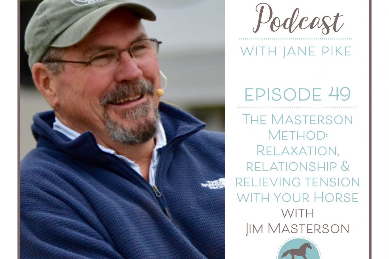 Masterson Method Equine Bodywork Blog | Tips & Techniques