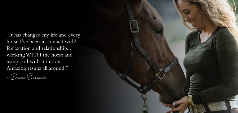 Equine Massage and Bodywork | The Masterson Method