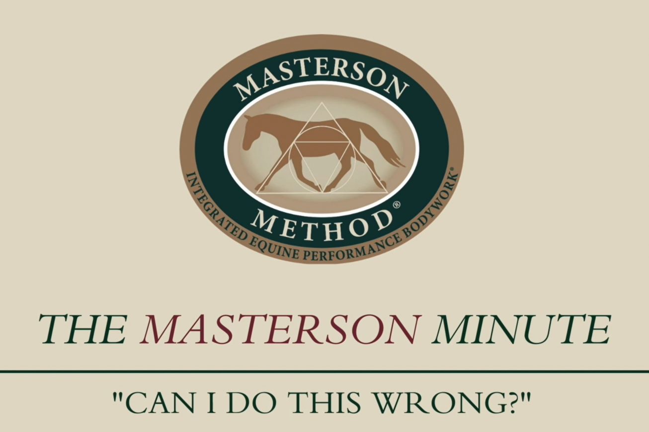 Masterson Method Equine Bodywork Blog | Tips & Techniques