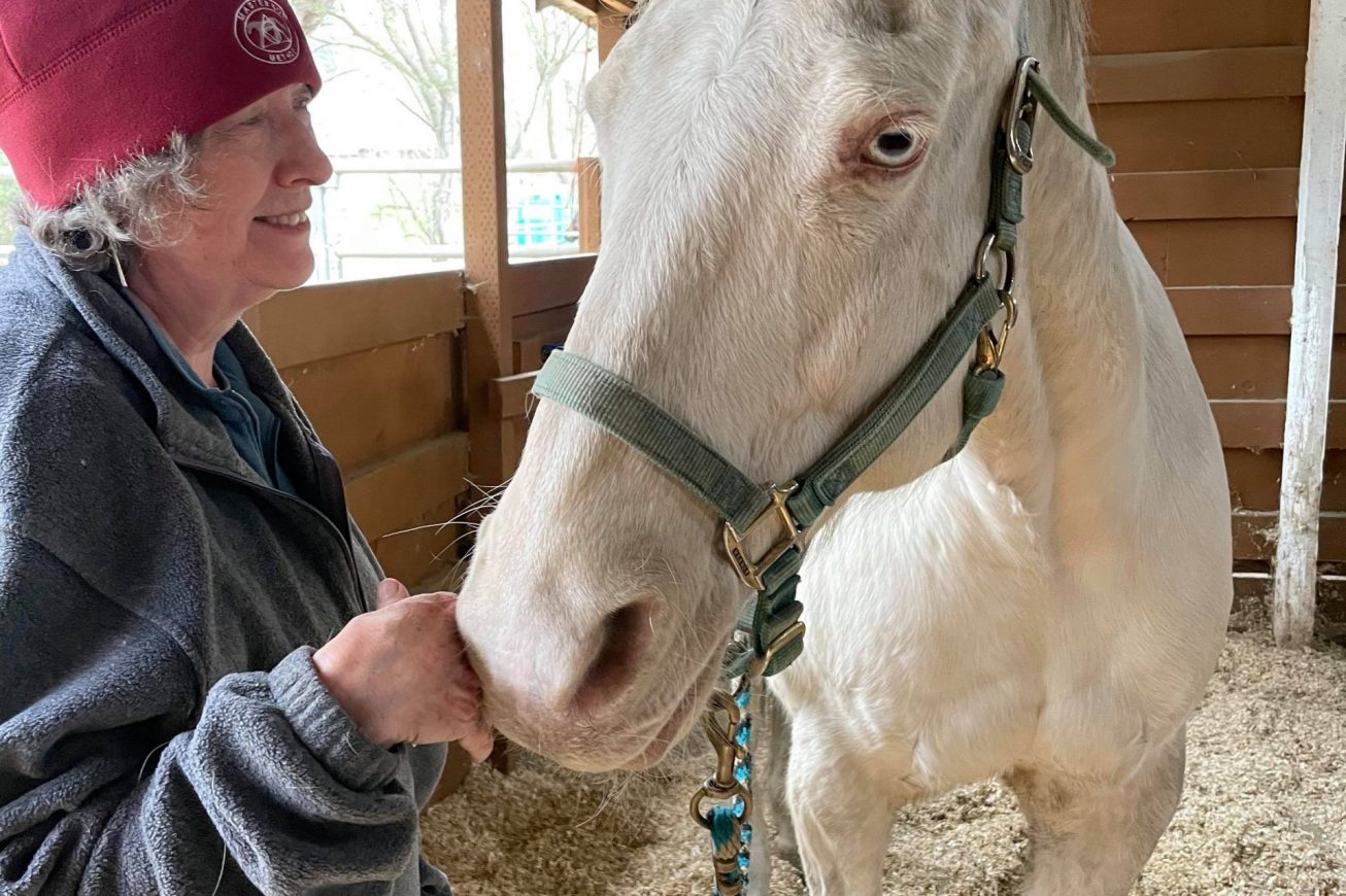 Masterson Method Equine Bodywork Blog | Tips & Techniques
