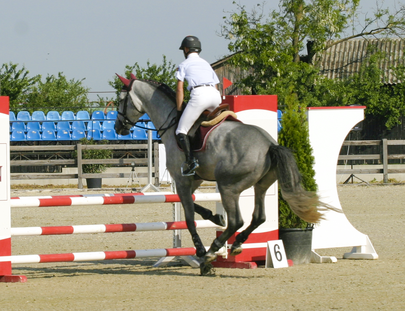 How a Horse Jumps | A Biomechanical Theory | Masterson