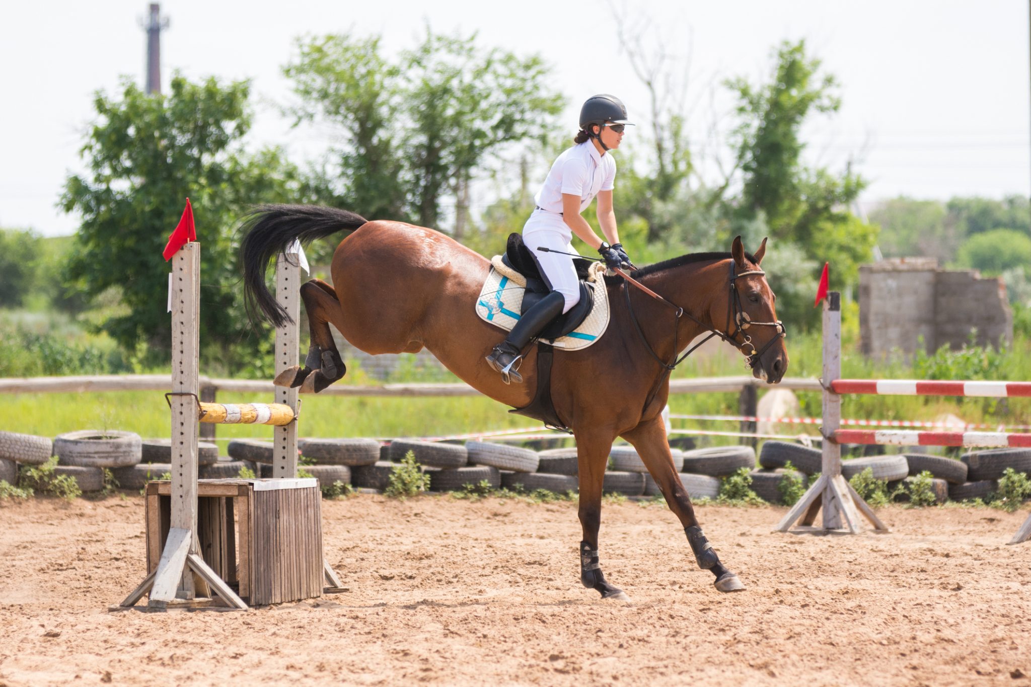 A Biomechanical Theory on How a Horse Jumps Part 2 - Masterson Method