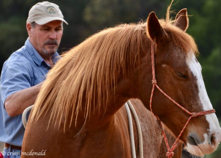 All Bodywork Session Reviews with Jim - Masterson Method