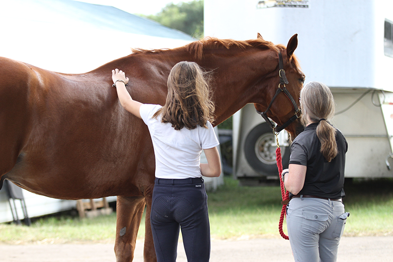 Masterson Method Expos & Demos | The Masterson Method