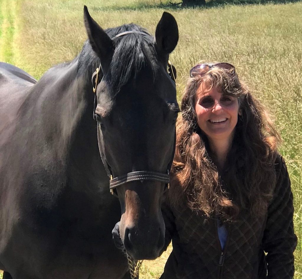 Deborah Topp, MMCP | Certified Equine Practitioner | Masterson Method
