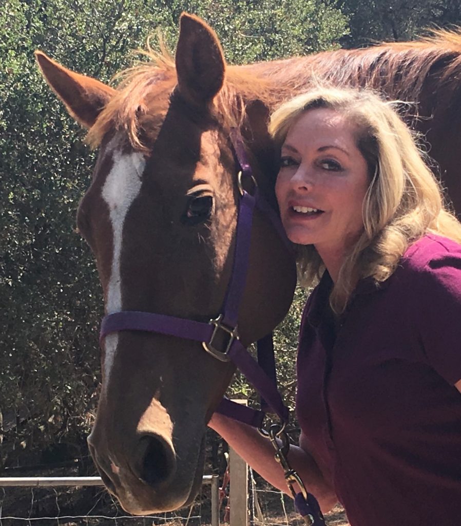 Amy Alford, MMCP, Instructor, Coach | Certified Equine Practitioner ...