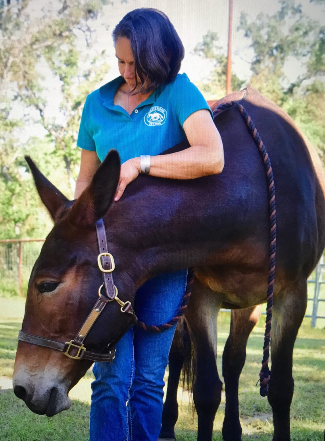 Mules & The Masterson Method® - Masterson Method