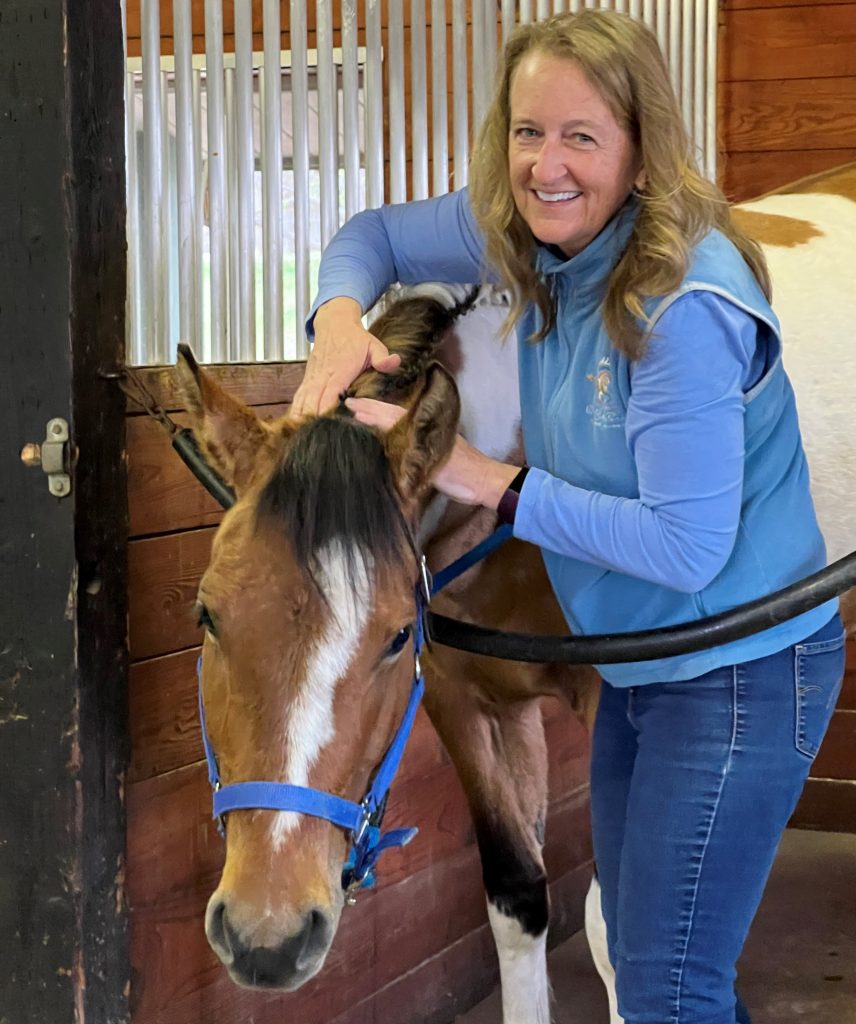 Jill Austin, MMCP | Certified Equine Practitioner | Masterson Method
