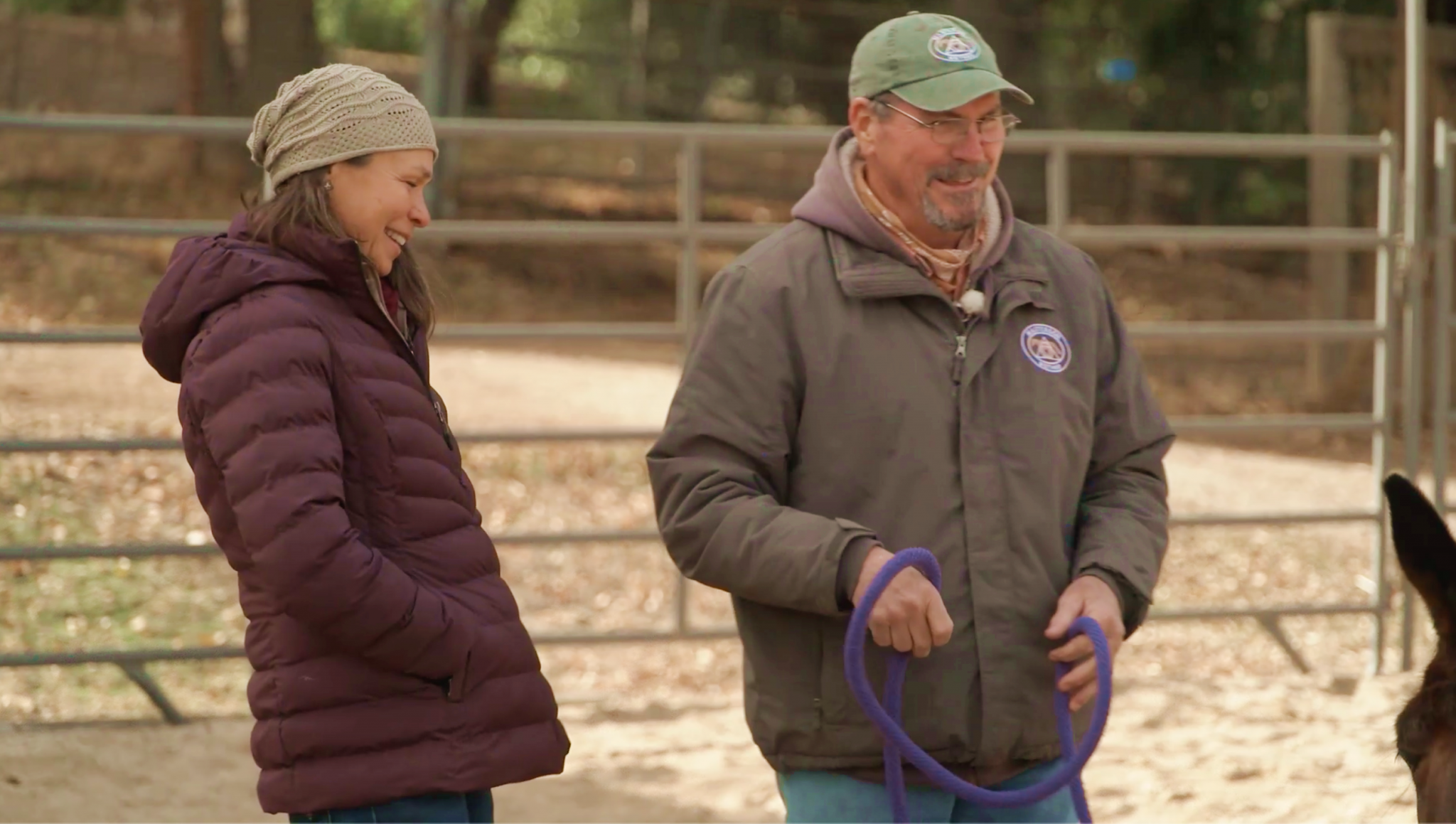 Mules & The Masterson Method® - Masterson Method