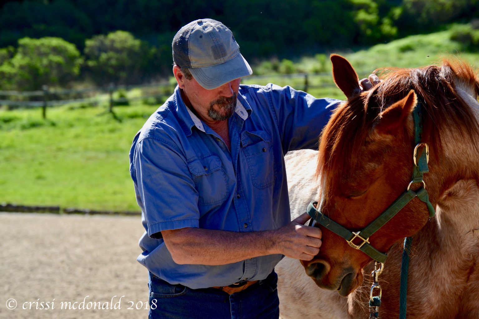 Releasing Tension In The Poll-atlas Junction Can Help The Entire Body ...