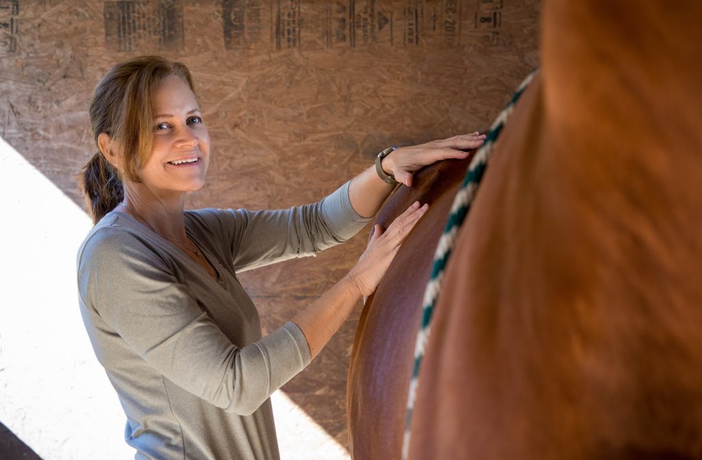 Amelia (Amy) Sterling, MMCP | Certified Equine Practitioner | Masterson ...