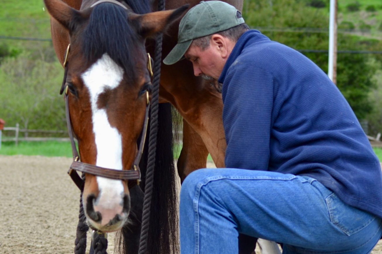 Masterson Method Expos & Demos | The Masterson Method