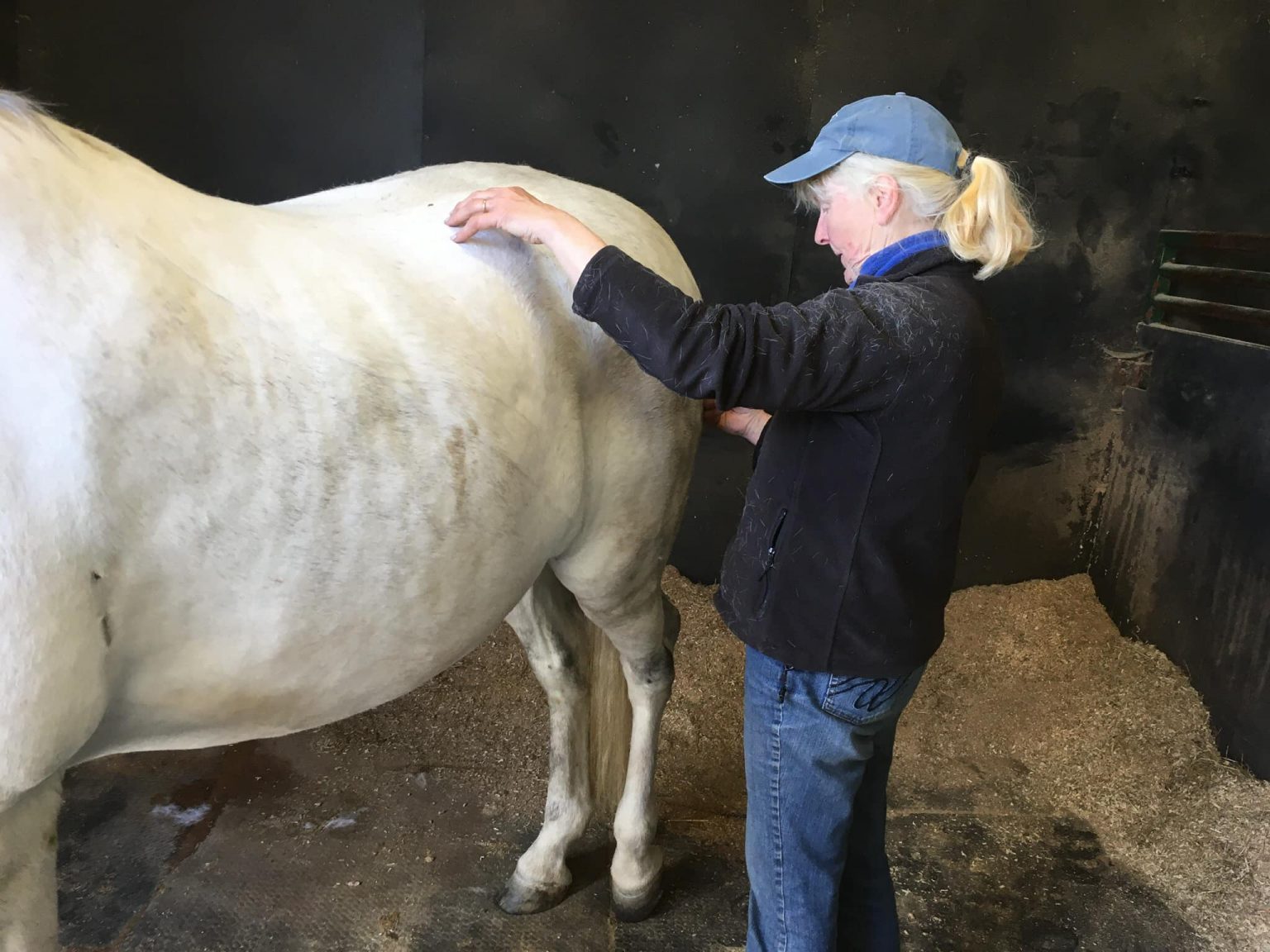 Fascinating Fascia - Masterson Method