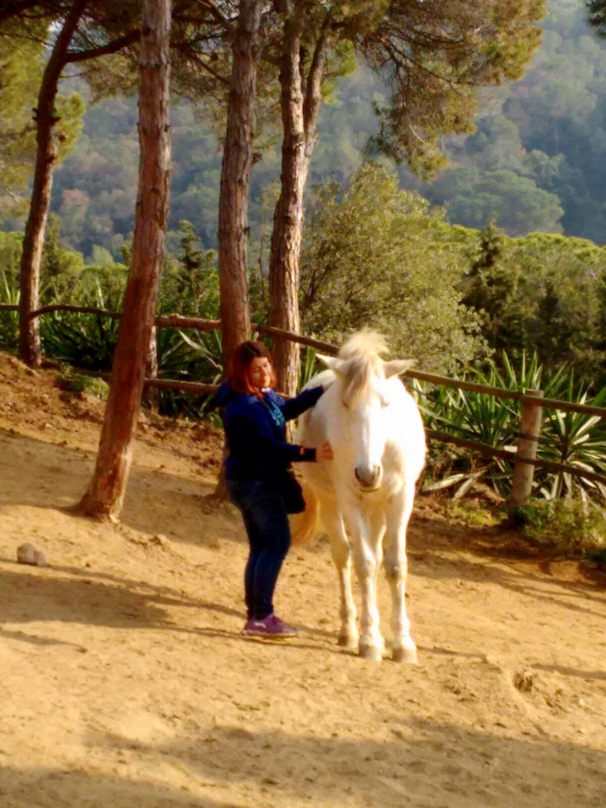 Masterson Method Certification Journey | What a ride!