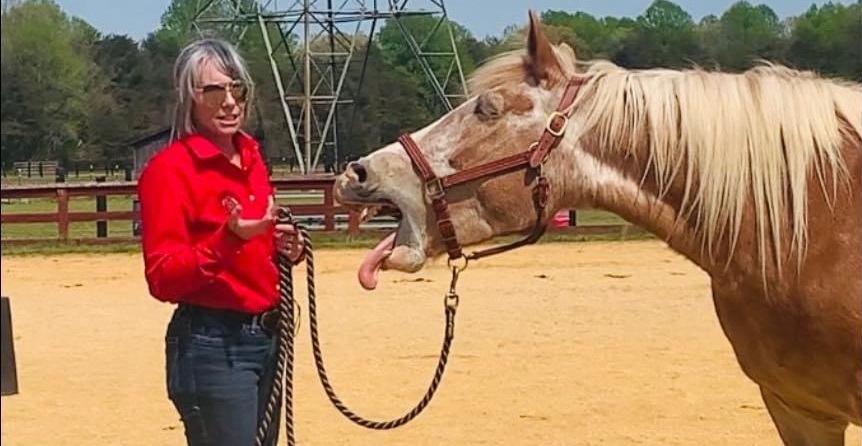 Masterson Method® Demos: More than you can imagine - Masterson Method