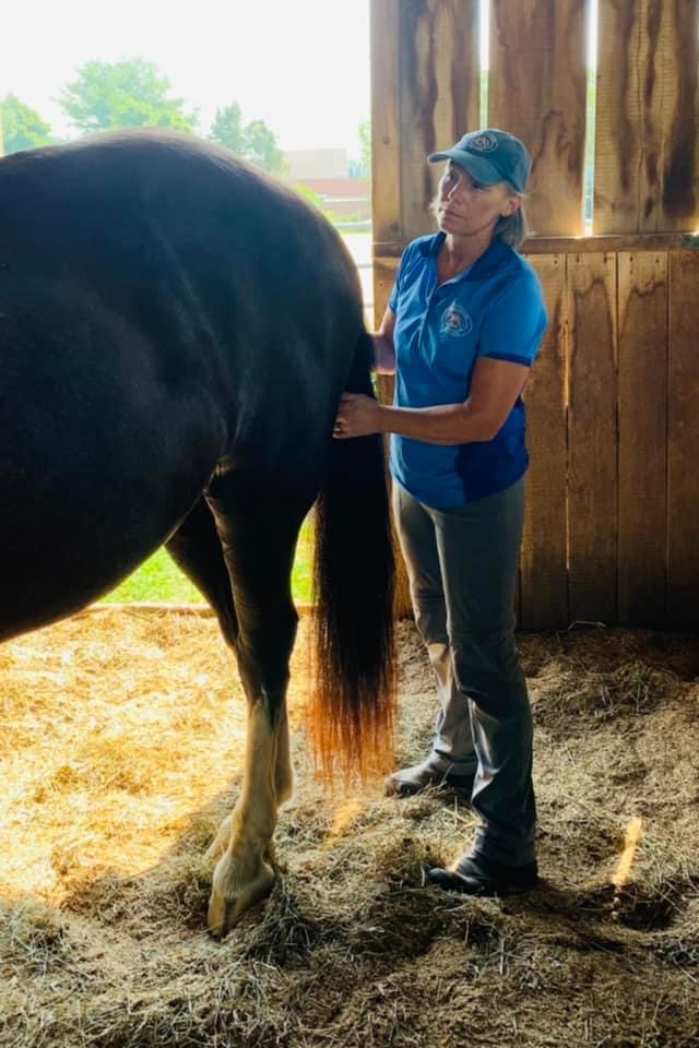 Masterson Method® Demos: More than you can imagine - Masterson Method