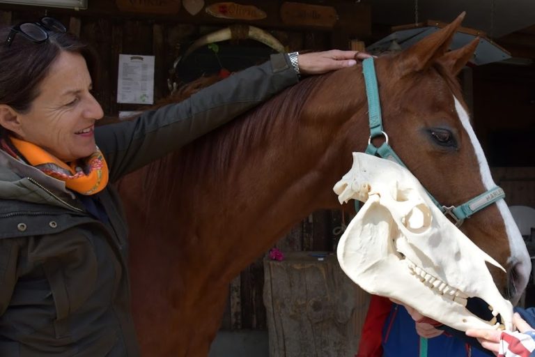 Masterson Method Expos & Demos | The Masterson Method