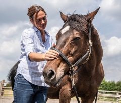 Laura Shakeshaft, MMCP | Certified Equine Practitioner | Masterson Method
