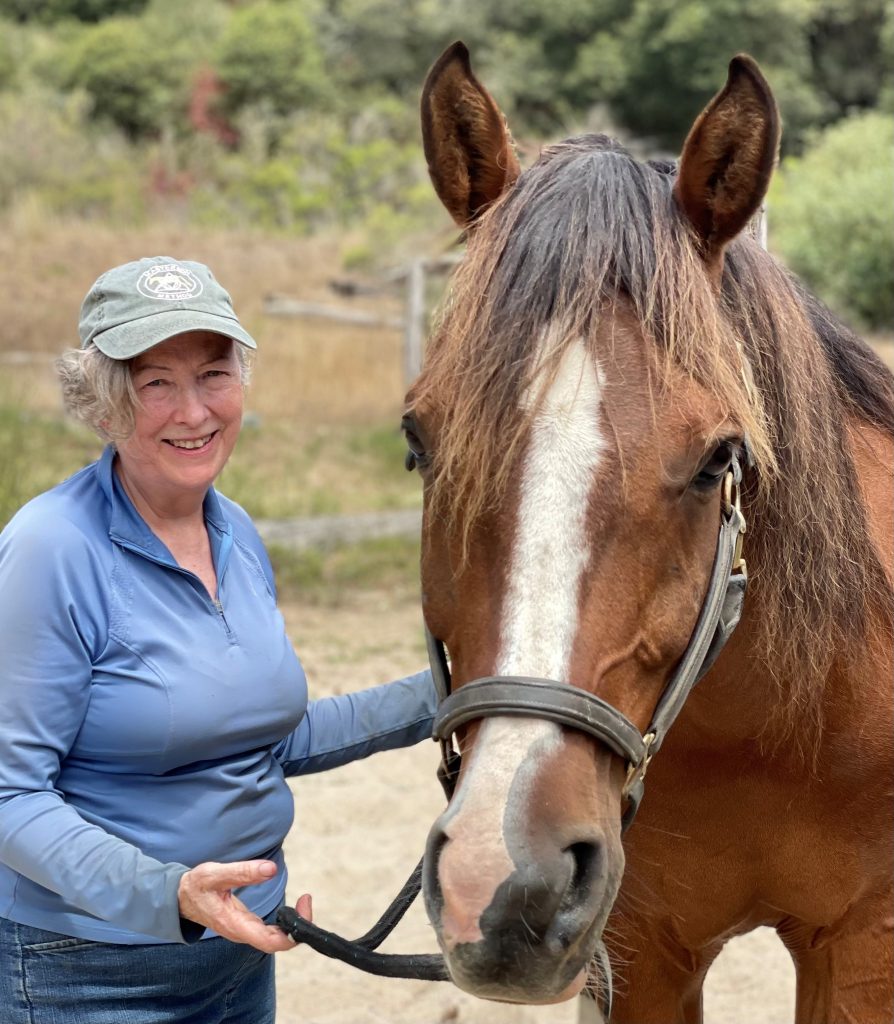 Lisa Star, MMCP, Mentor - Masterson Method