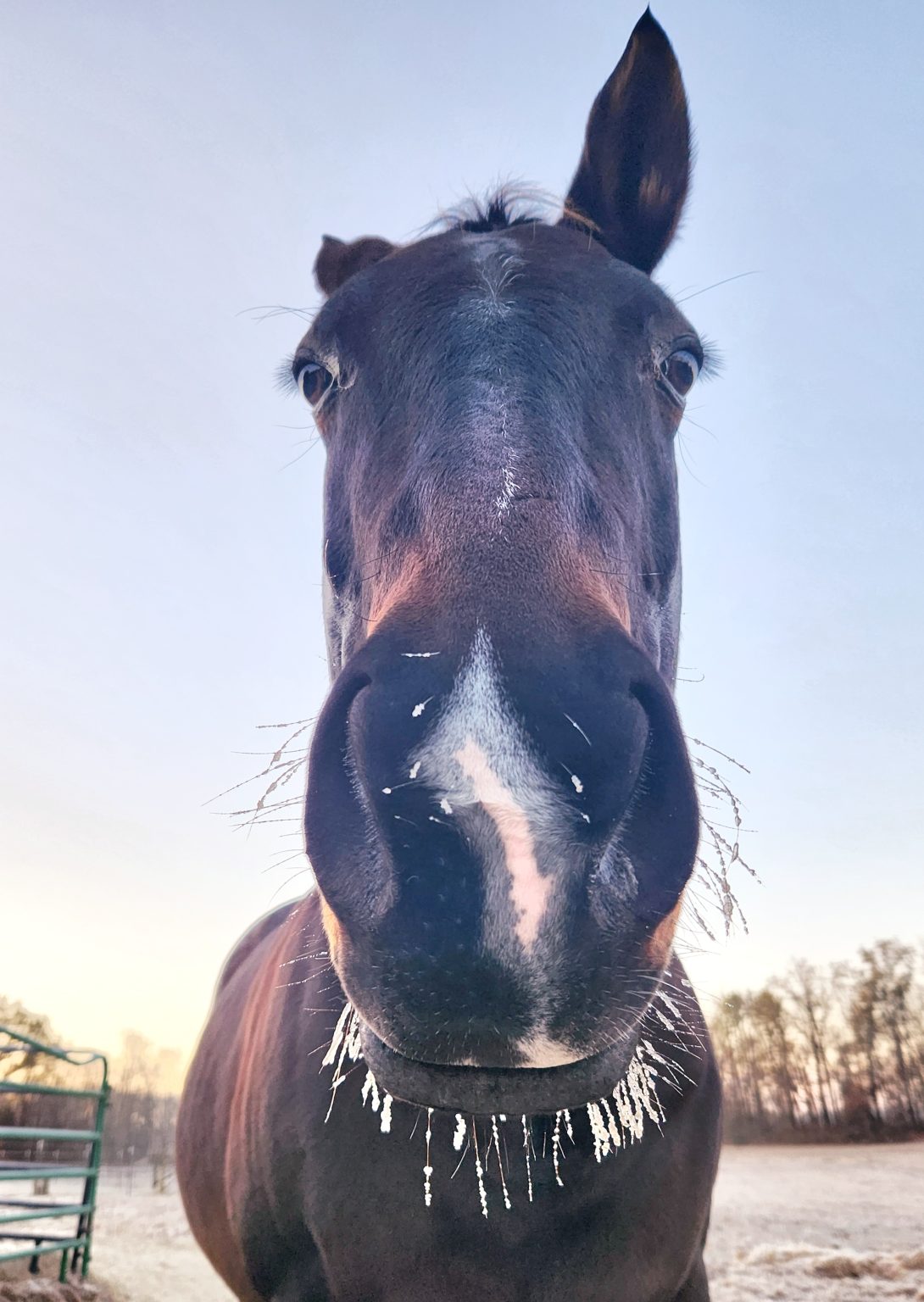 The Masterson Method® Community To The Rescue! - Masterson Method