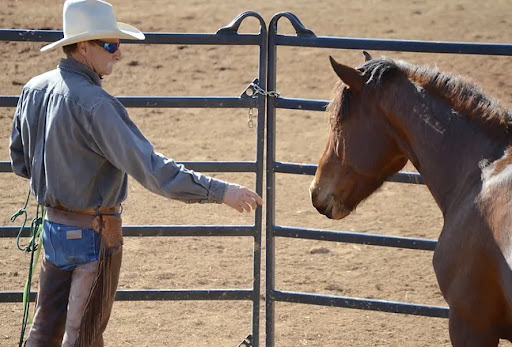 Affiliates of The Masterson Method - Masterson Method