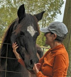 Sally Herring, MMCP | Certified Equine Practitioner | Masterson Method