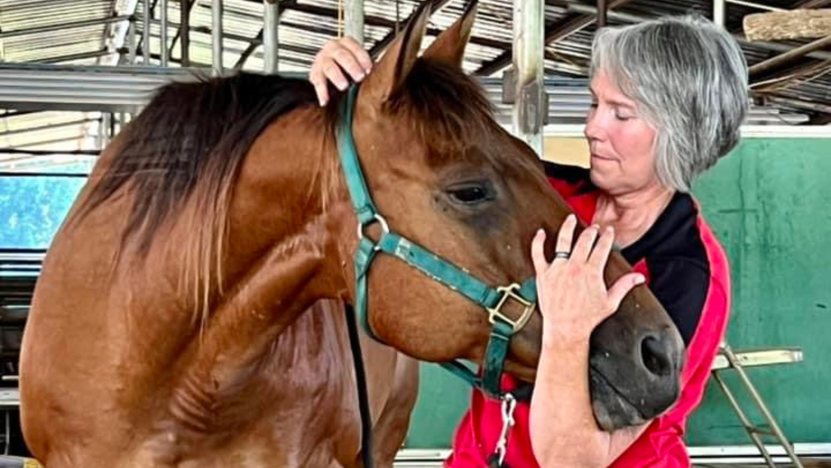 Flash Miracle Story: From Spooky to Happy and Trusting - Masterson Method