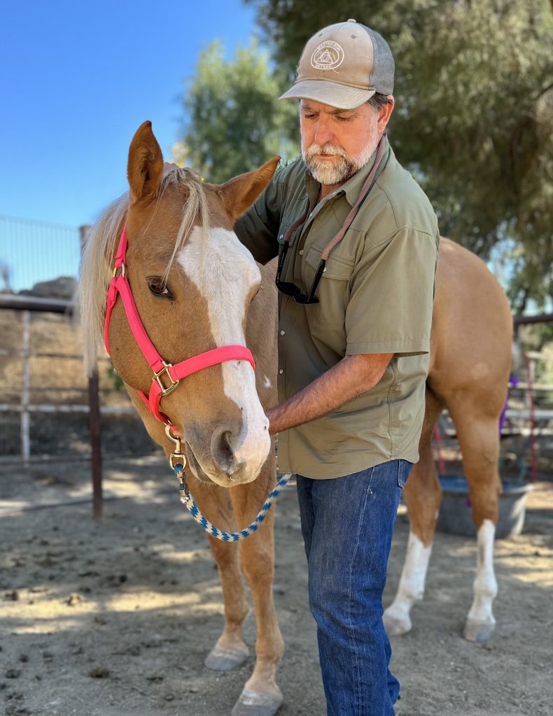 Sean Sprinkel, MMCP | Certified Equine Practitioner | Masterson Method