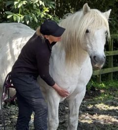 Rosie Lewin, MMCP, Coach | Certified Equine Practitioner | Masterson Method