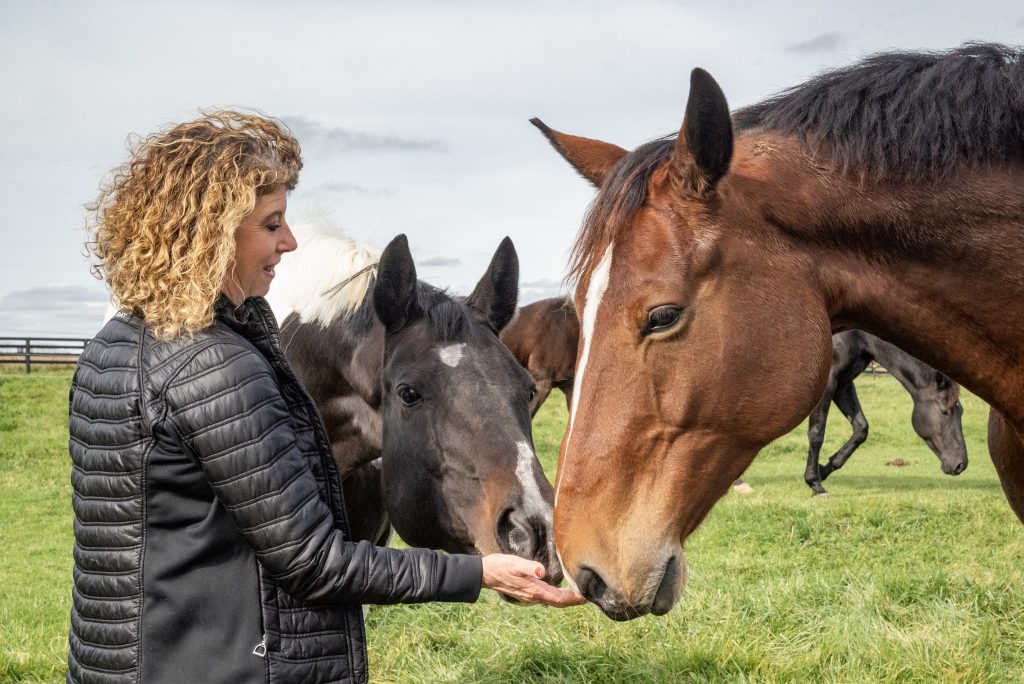Tammy Risseeuw, MMCP | Certified Equine Practitioner | Masterson Method