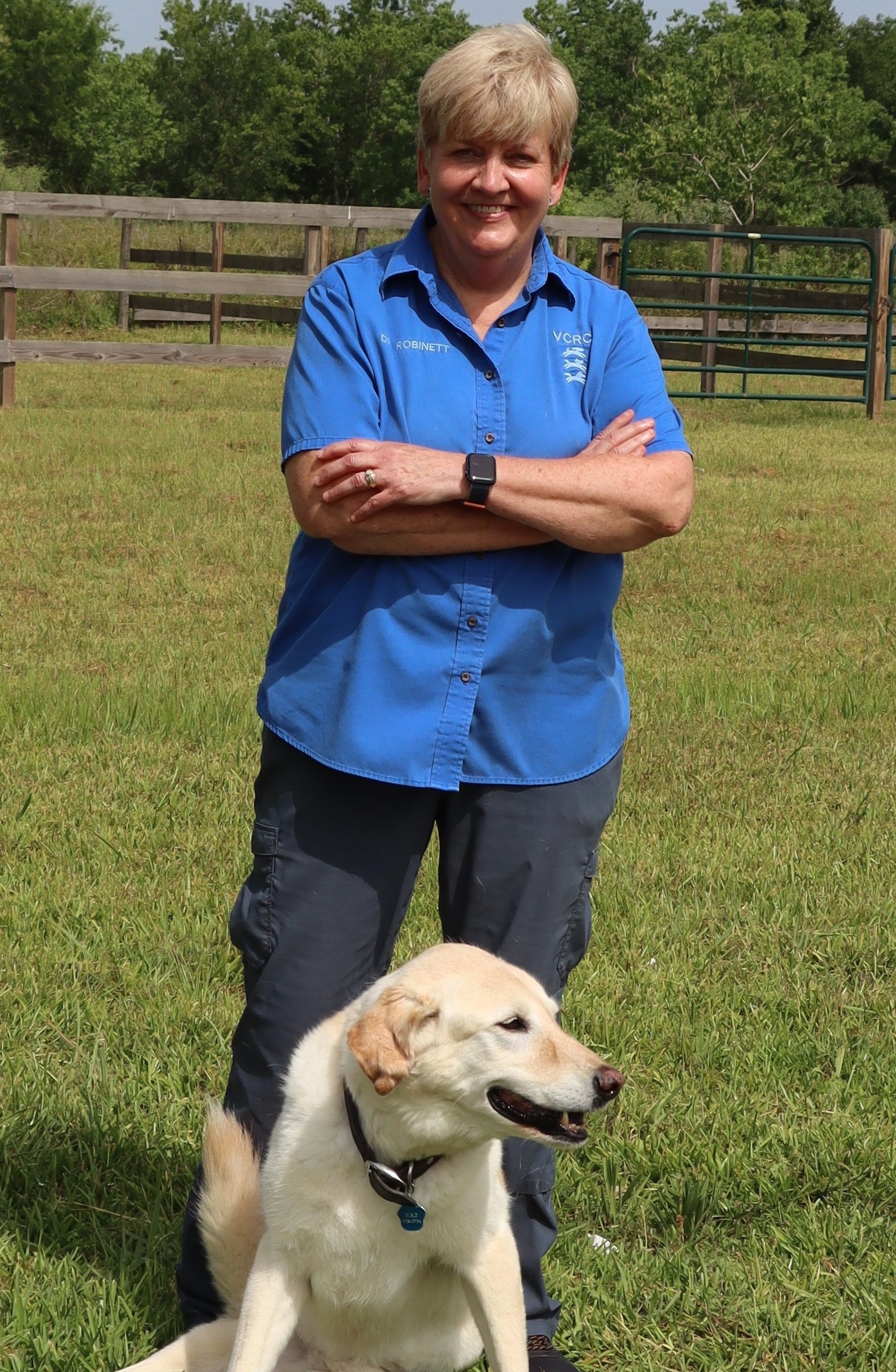 Canine Massage Courses | Read and Release Course | Masterson