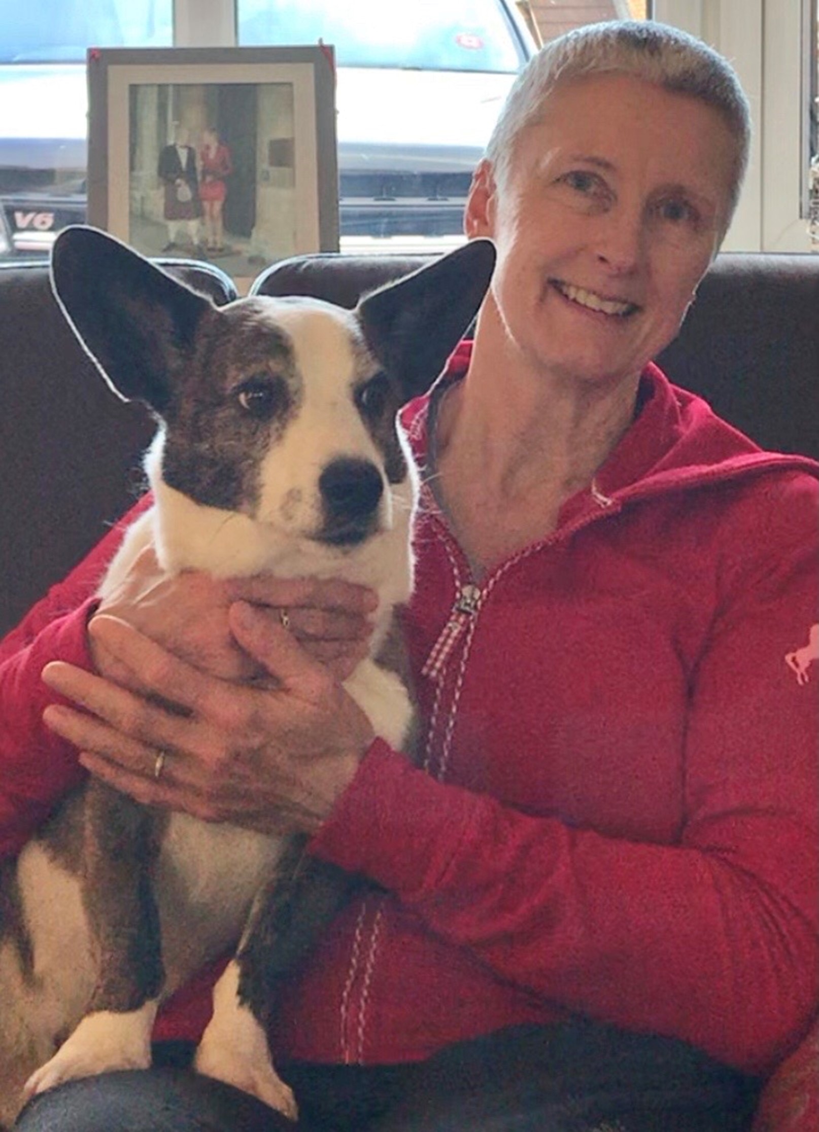 Canine Massage Courses | Read and Release Course | Masterson