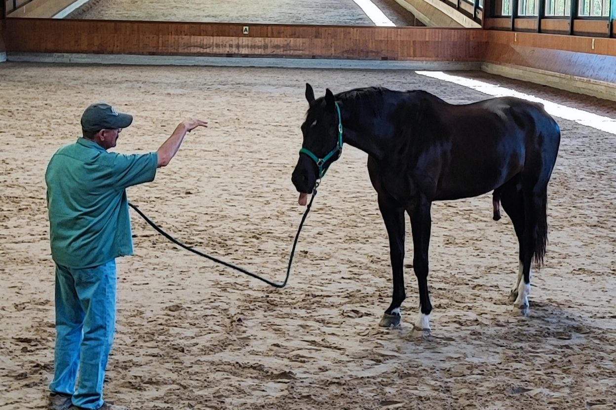 Masterson Method Expos & Demos | The Masterson Method