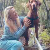 Canine Massage Courses | Read and Release Course | Masterson