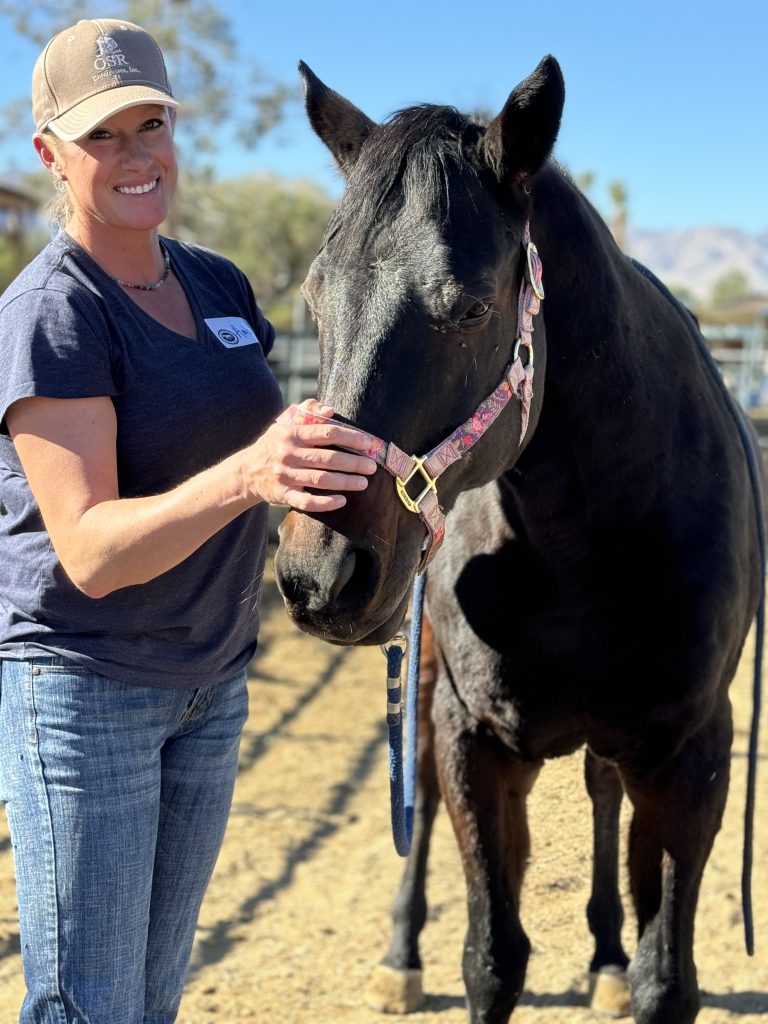 Amber Anderson, MMCP | Certified Equine Practitioner | Masterson Method